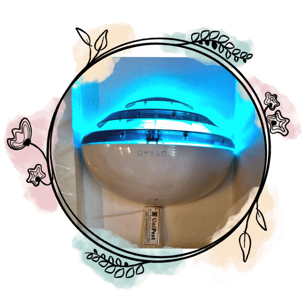 Jasa Pengendalian Hama Profesional Jasa Pengendalian Hama #1 di Indonesia