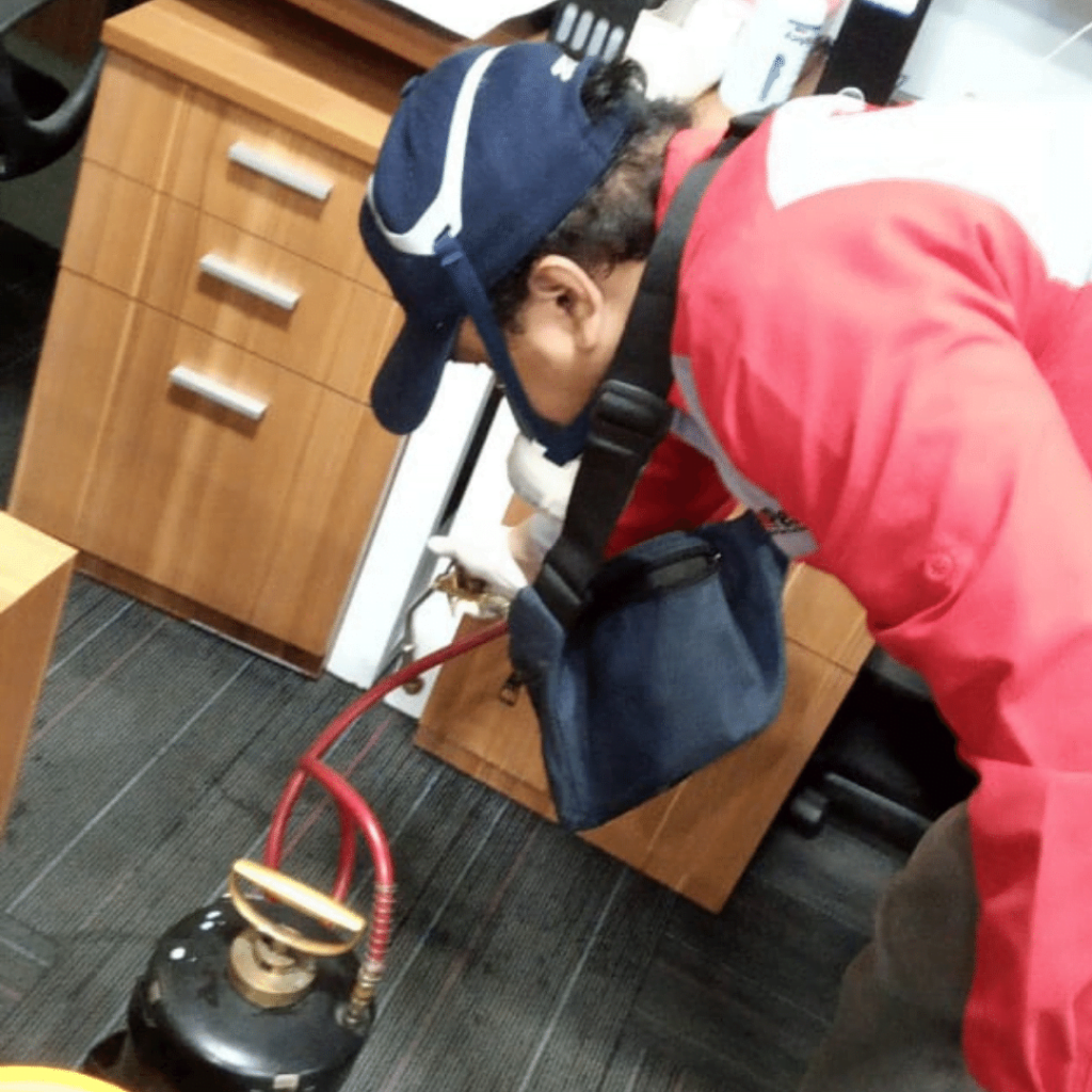 Pest Control - Pest Control Indonesia