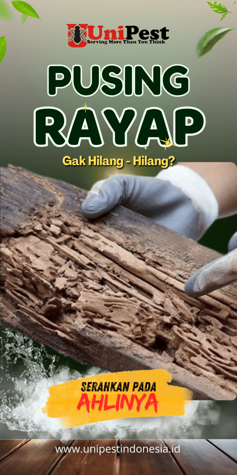 Apa Itu Pest Control? - Pest Control Indonesia